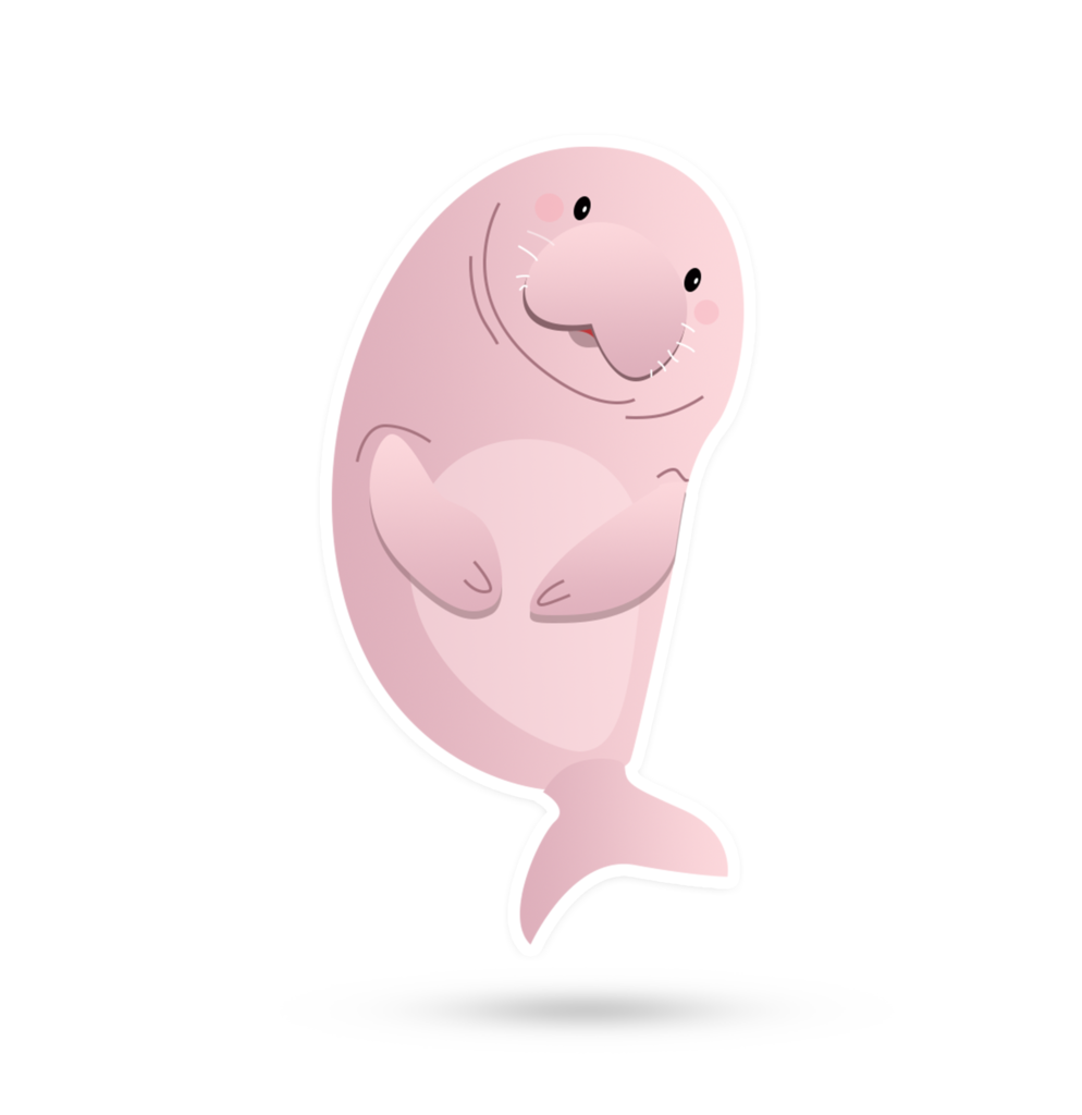 Home - Dugong Adventure Educational Play Ground in Doha